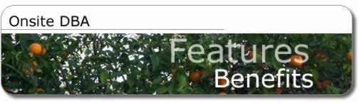 .com Solutions Inc. - Services - Onsite DBA