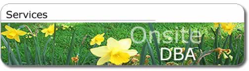 .com Solutions Inc. - Services - Onsite DBA